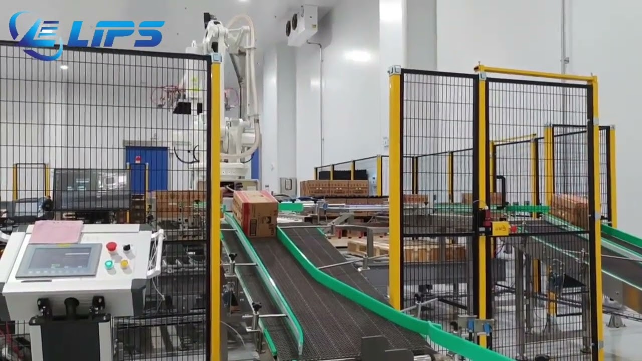 Robot palletizer for cold chain products in cooling room - YouTube