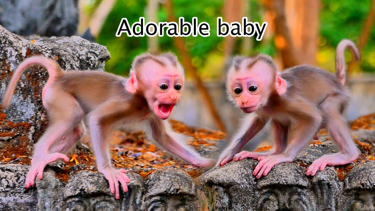 Adorable!! Little baby shows cute actions - YouTube