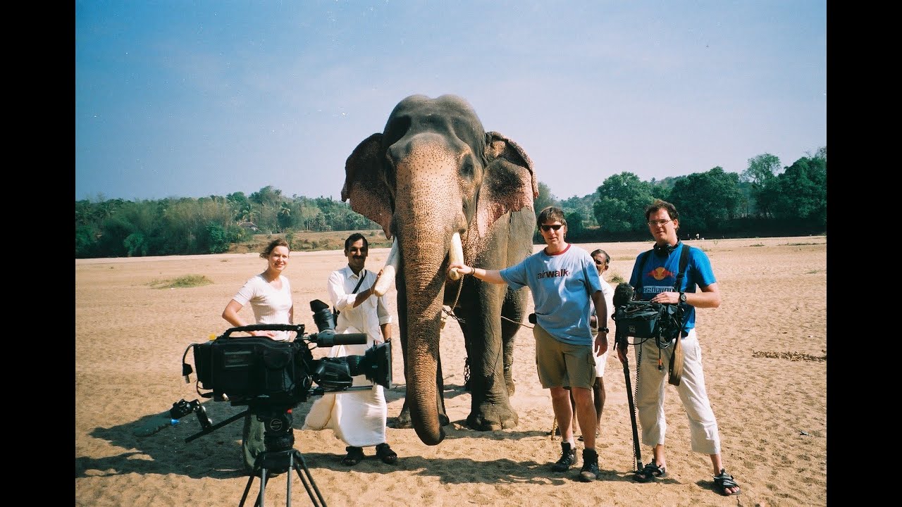 Behind the scenes - Pet Powers for Animal Planet. - YouTube