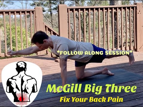 McGill Big 3 Follow Along Session (Beheben Sie Ihre Rückenschmerzen!)