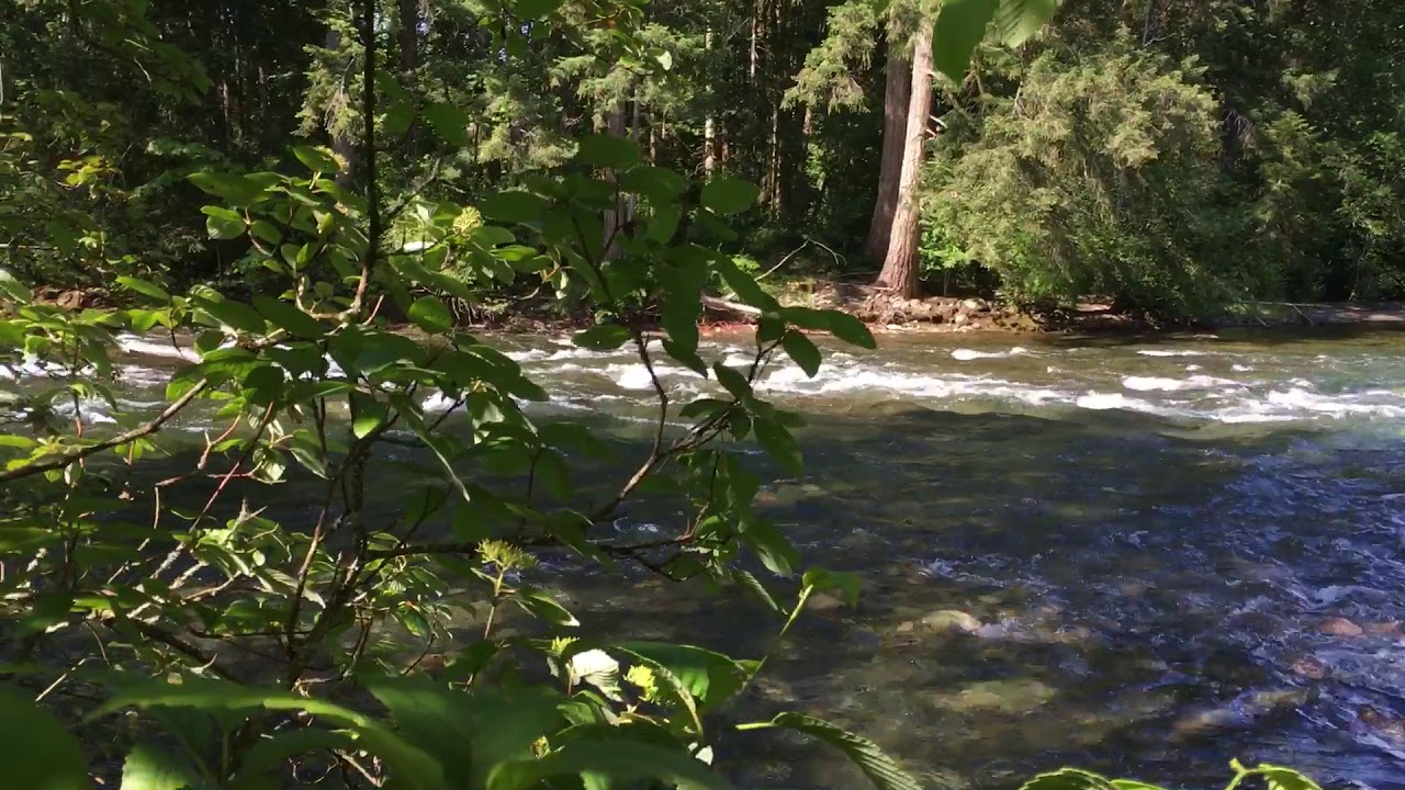 Puntledge park - YouTube