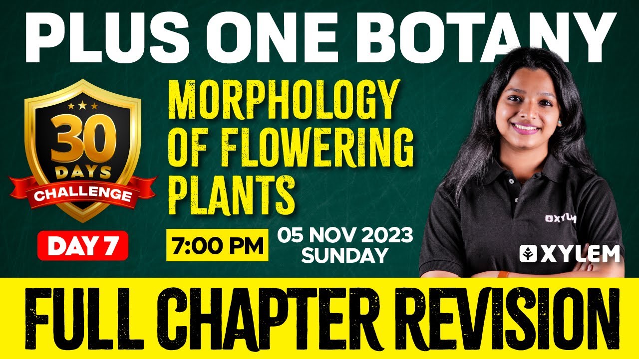 Plus One - Botany - Morphology of Flowering Plants | Xylem Plus One ...