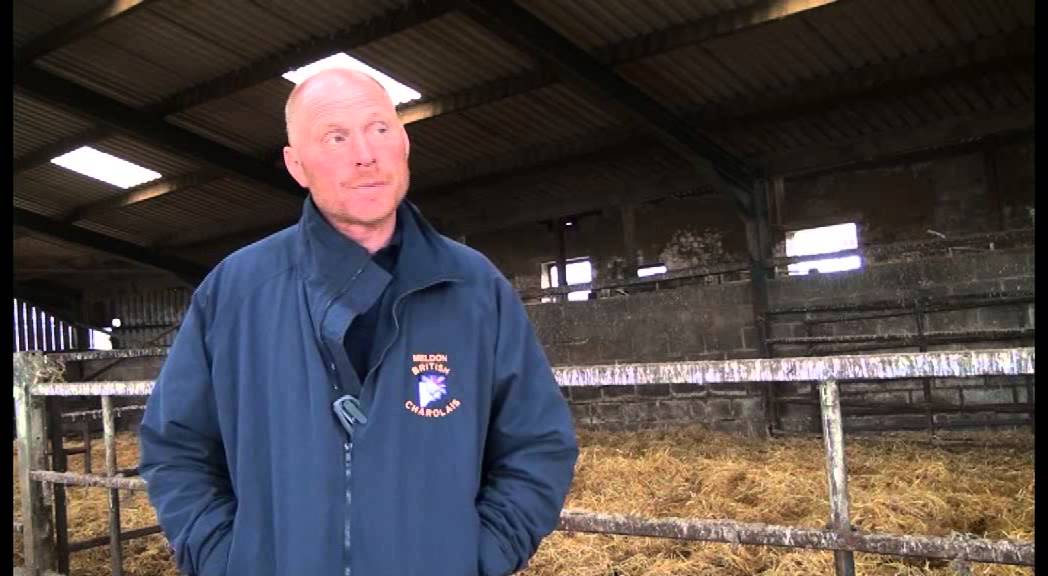 Beef Focus Farmer: Phil Heard - Meldon Farm - YouTube