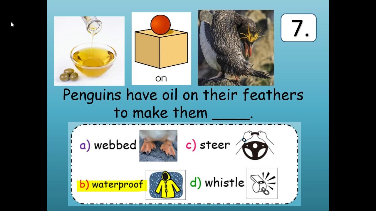 Second Grade Journeys' Lesson 21 Vocabulary Review Sentences for the ...