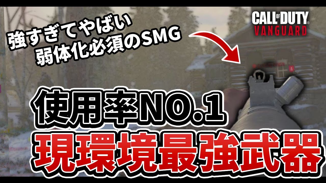 【CoD:V】現環境SMG最強武器『Type100』最強カスタム【CoD:Vanguard】 - YouTube