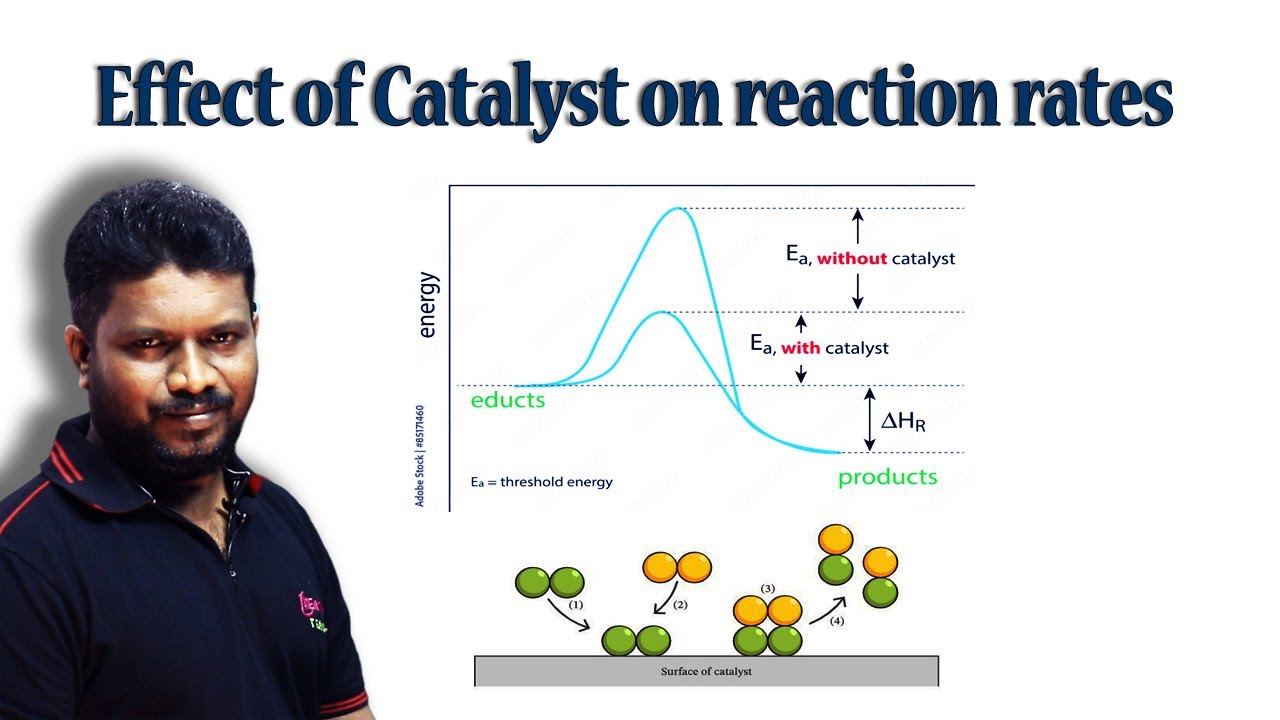 14.Effect of Catalyst on reaction rates | CBSE Chemistry Class 12 - YouTube