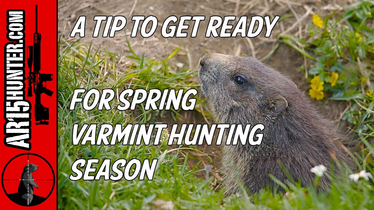 A Tip to Get Ready for Spring Varmint Hunting Season - YouTube