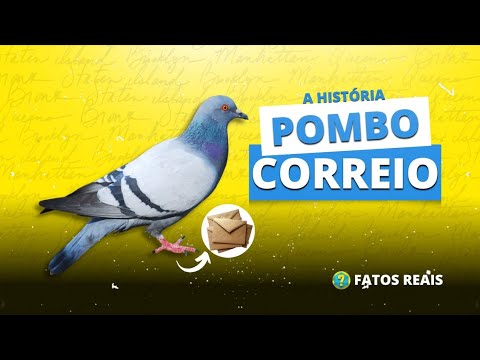 Pega o pombo: entenda como era o treinamento dos pombos correio - YouTube