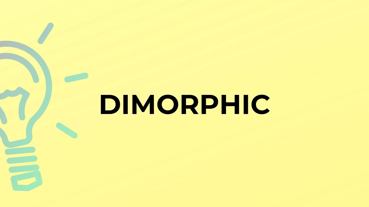 What is the meaning of the word DIMORPHIC? - YouTube