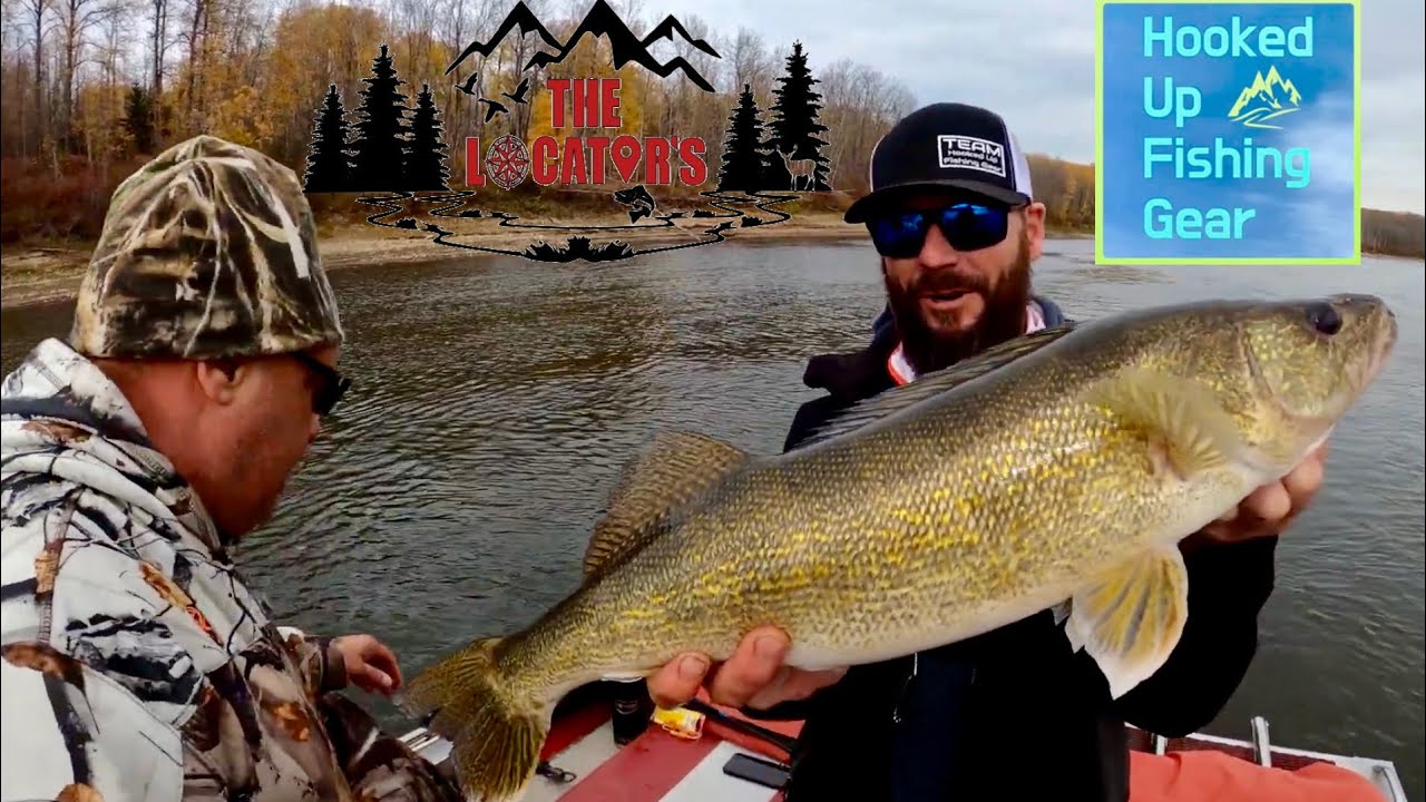 Fall Walleye On The Athabasca River #hookedupfishinggear # ...