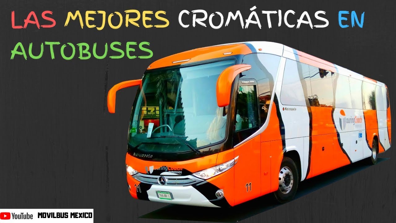TOP 5: Los autobuses con las cromáticas más bonitas. - YouTube
