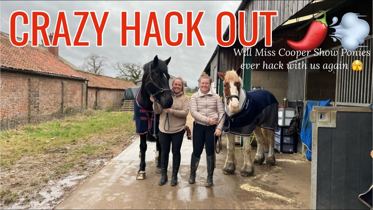 CRAZY HACK WITH MISS COOPER SHOW PONIES| The Norfolk Equestrian - YouTube