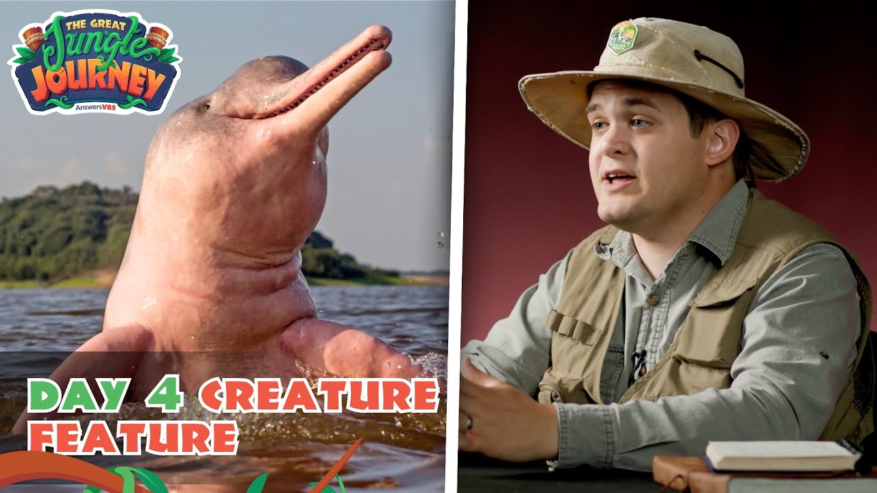 Amazon River Dolphin! Creature Feature: Day 4 | The Great Jungle Journey VBS - YouTube