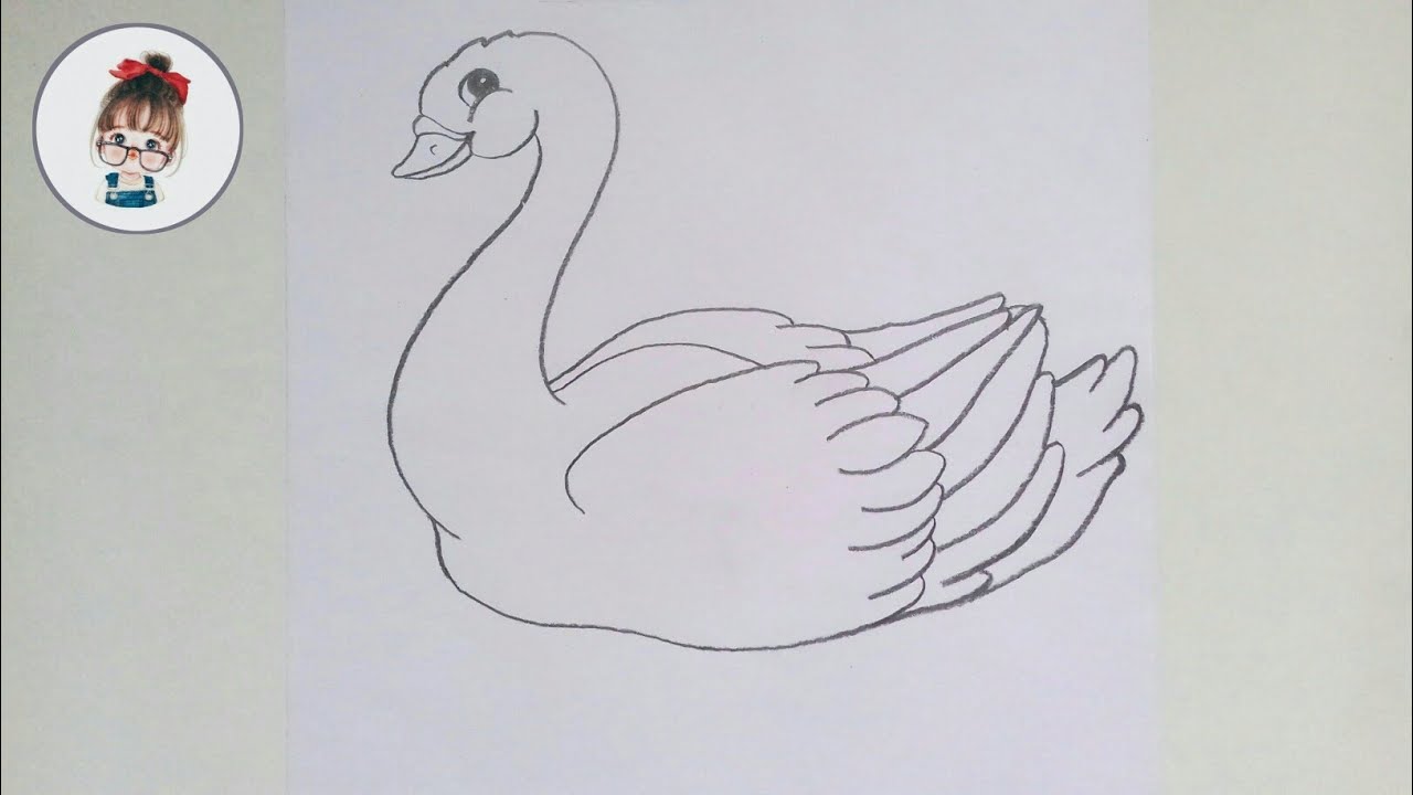 how to draw swan bird easy step by step | easy swan sketch @MTCRDrawing ...