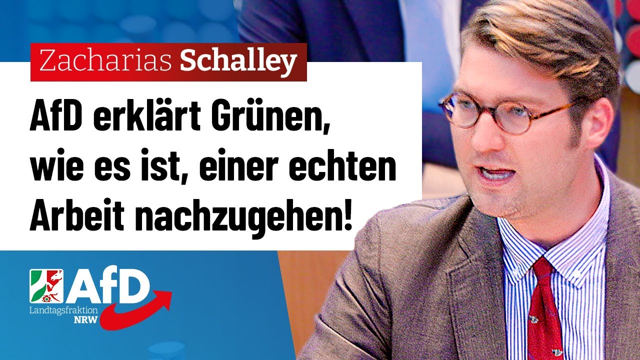 AfD erklärt Grünen, wie es ist, einer echten Arbeit nachzugehen! – Zacharias Schalley (AfD ...