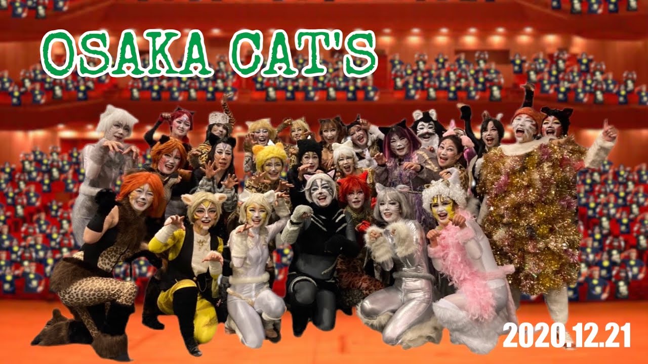 OSAKA CAT'S - YouTube