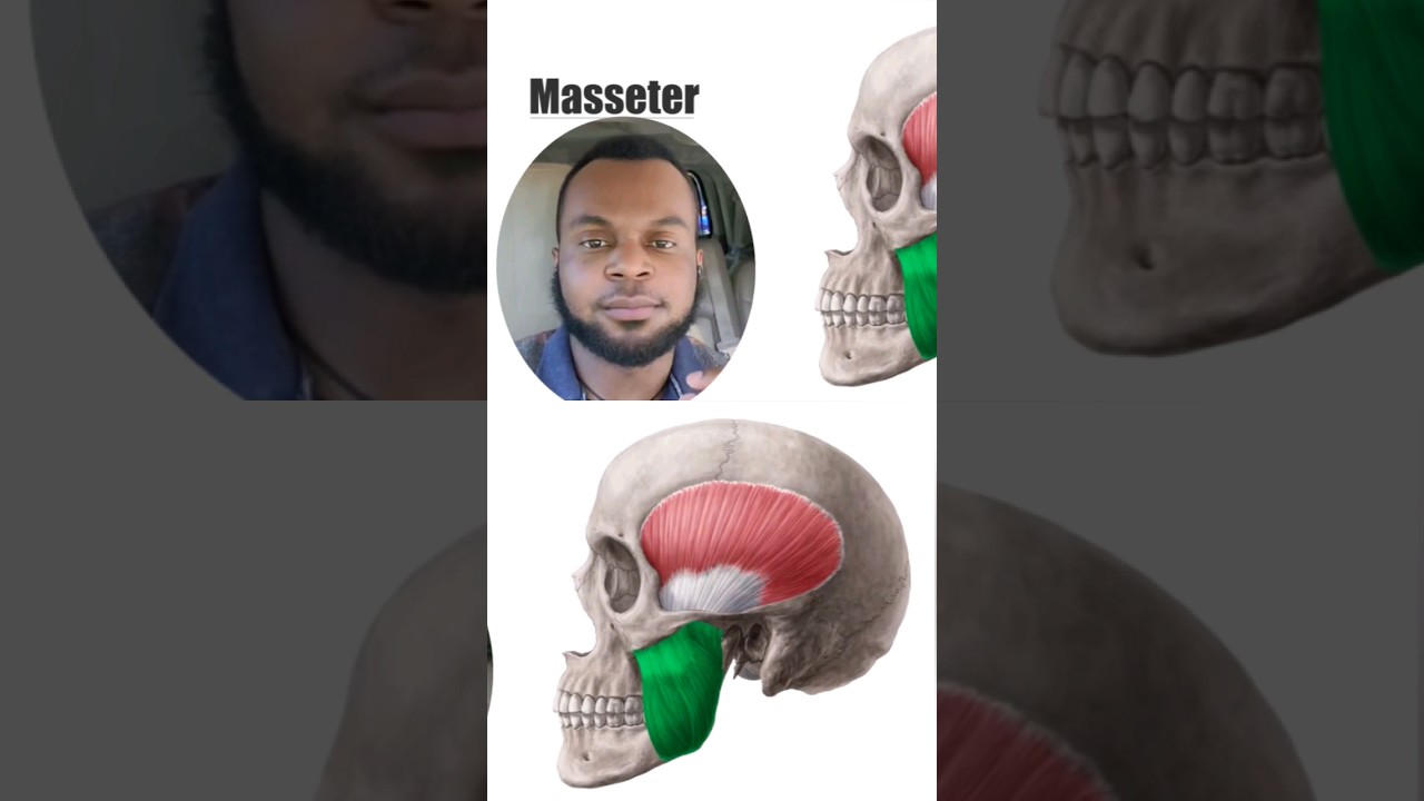 Massage The Masseter Muscle! #shorts - YouTube