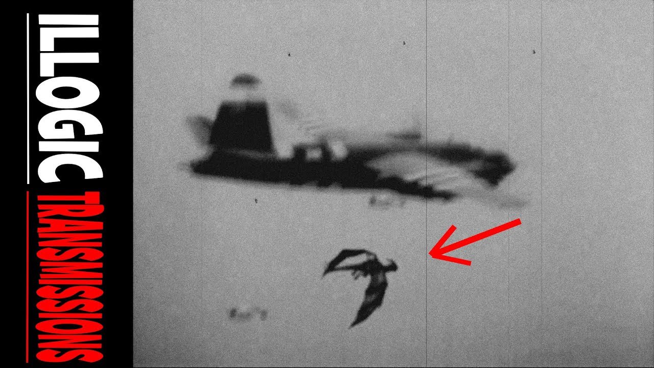 5 STRANGE SIGHTINGS FILMED ON CAMERA - YouTube