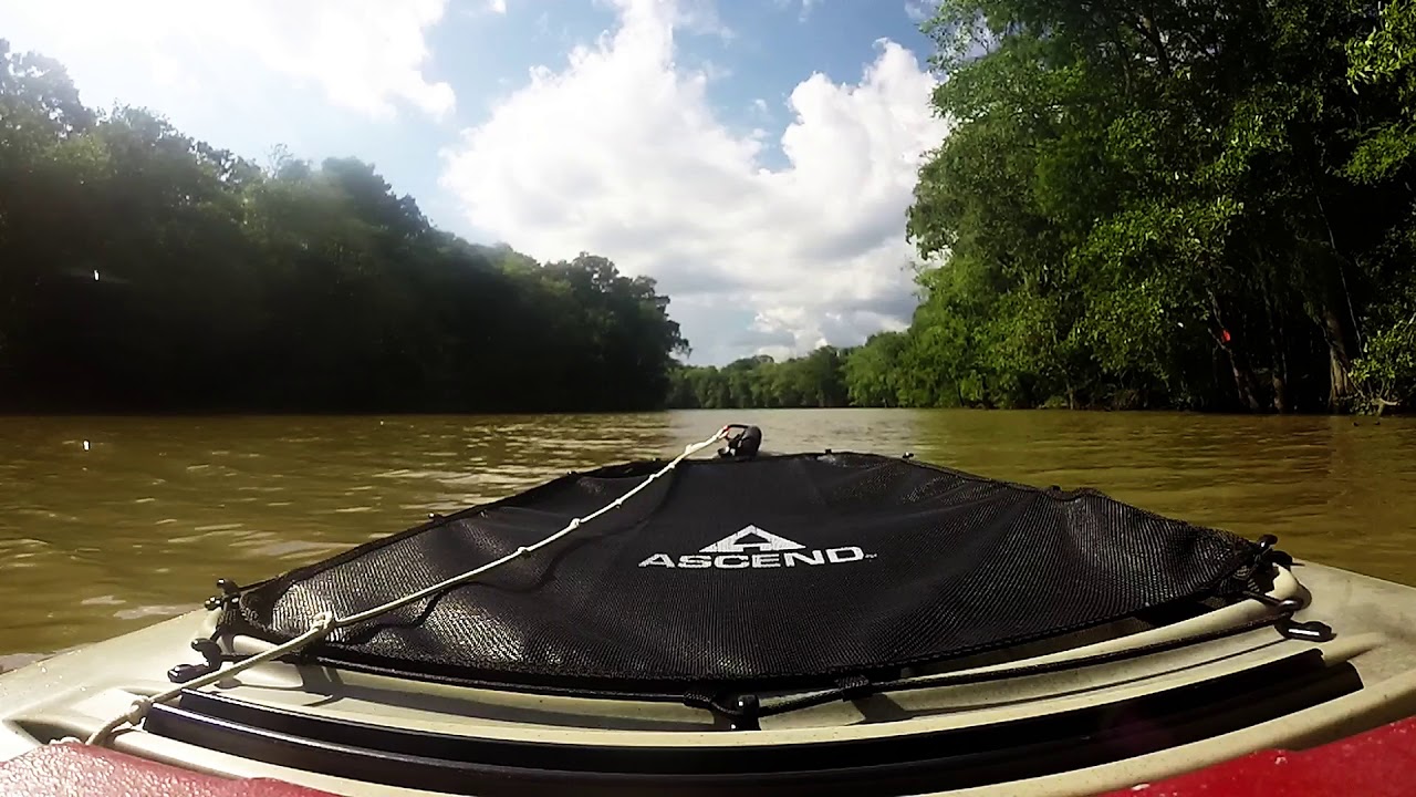 Ascend H10 Swamp Paddling - YouTube