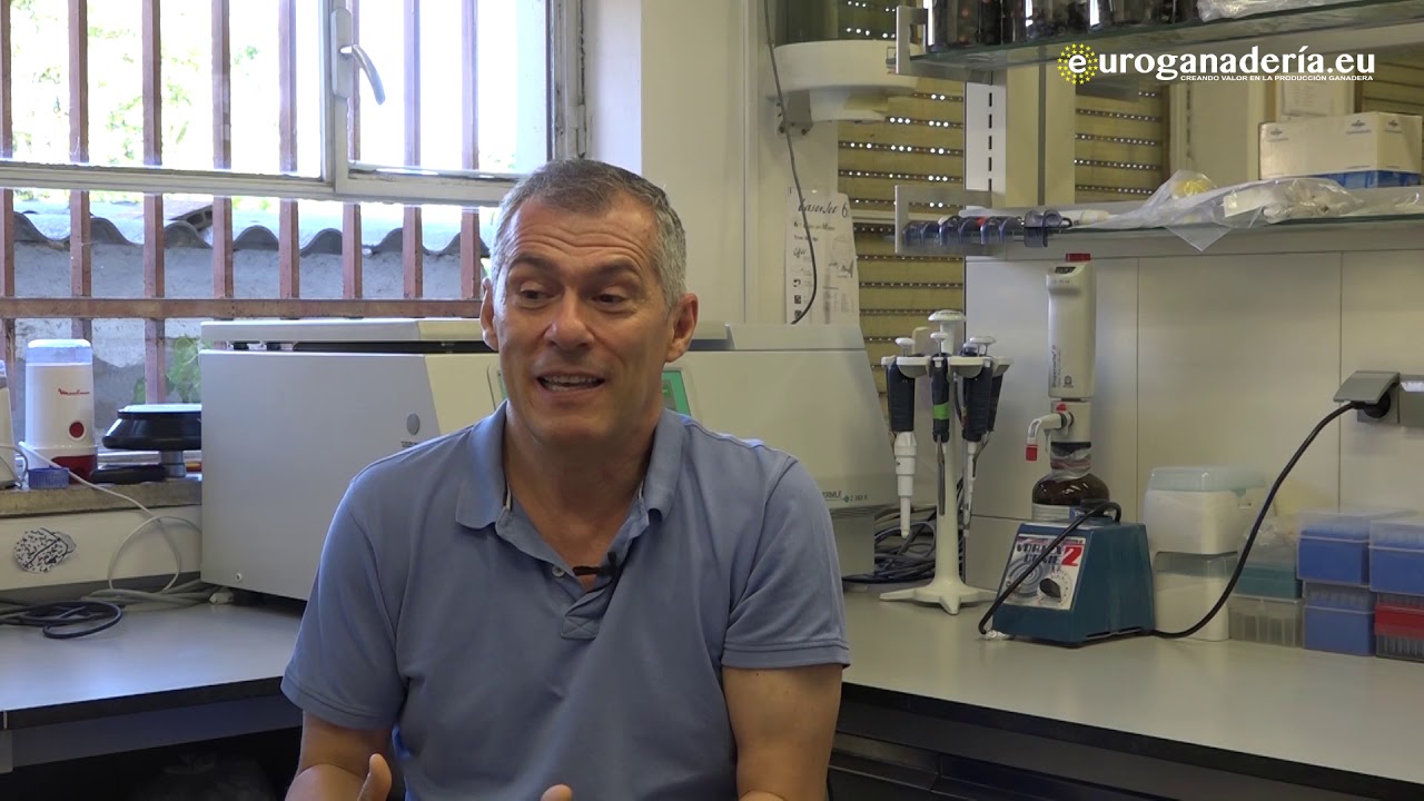 Entrevista a Clemente López Bote - YouTube