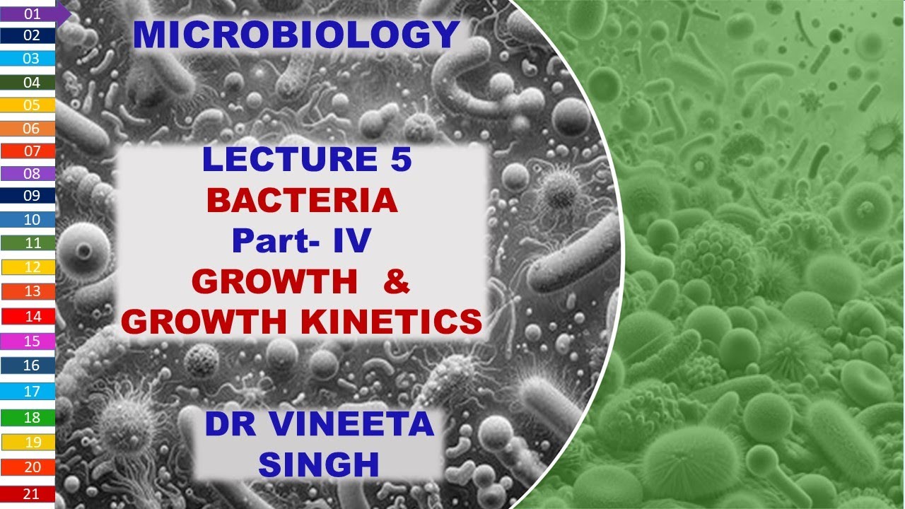 Understanding Bacterial Growth and Growth Kinetics - YouTube