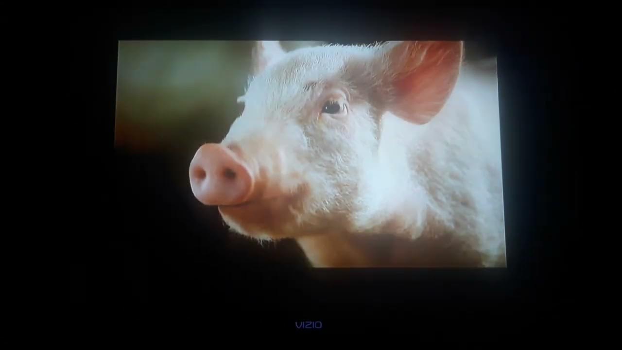 Charlotte's Web - DVD Trailer (U.S./🇺🇸) - YouTube