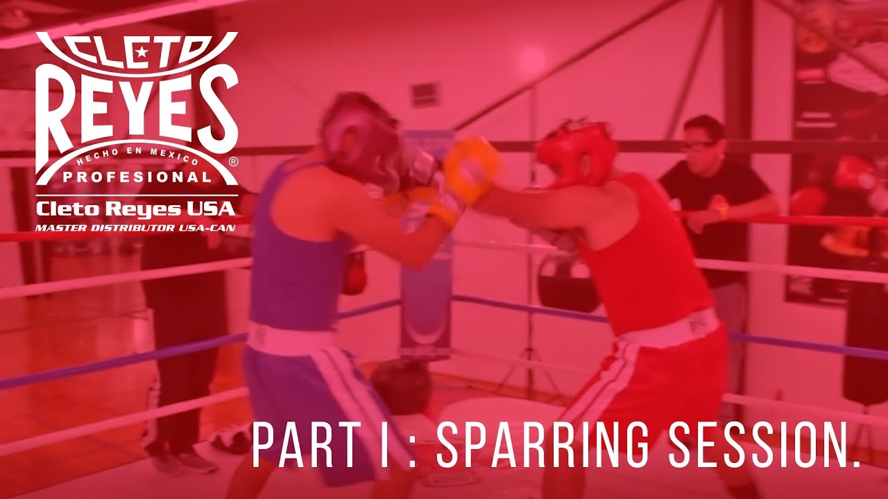 Part 1: Sparring Session // Parte 1: Sesión de Sparring - YouTube