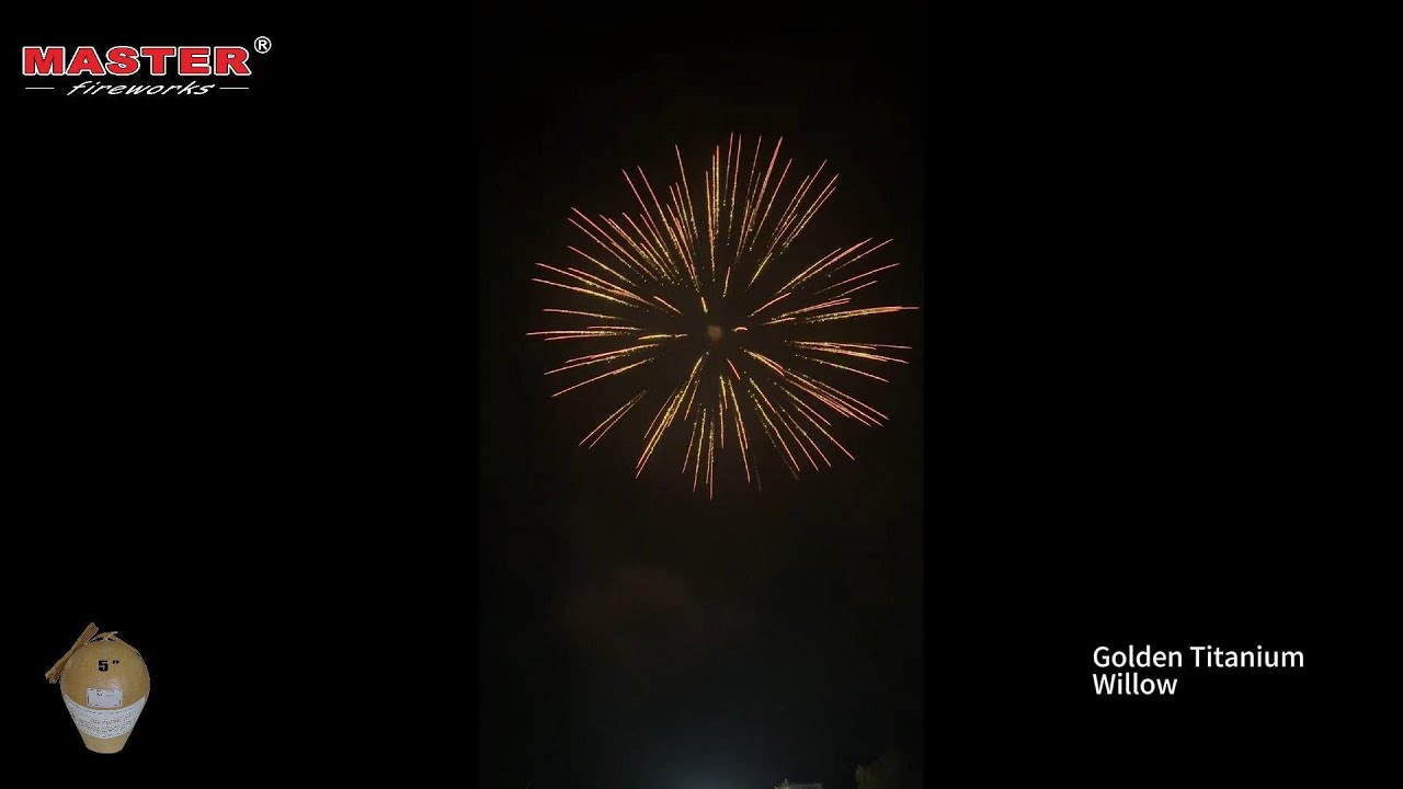 5‘’ Golden Titanium Willow#Shells - YouTube