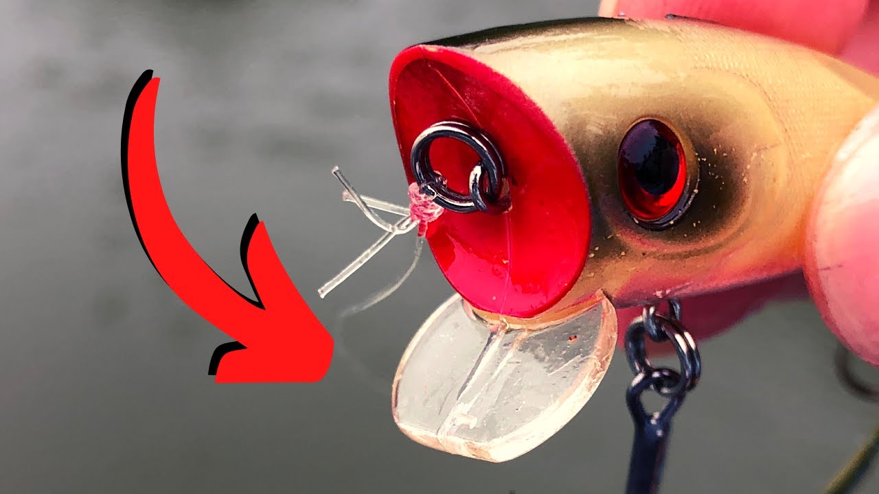 The POPPER You Should Start FISHING (Topwater Blowups) - YouTube
