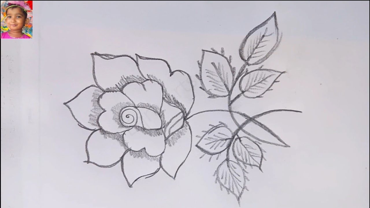 Rose Drawing | How to draw A Rose | Flower Hand Drawing Design | #Eqra ...