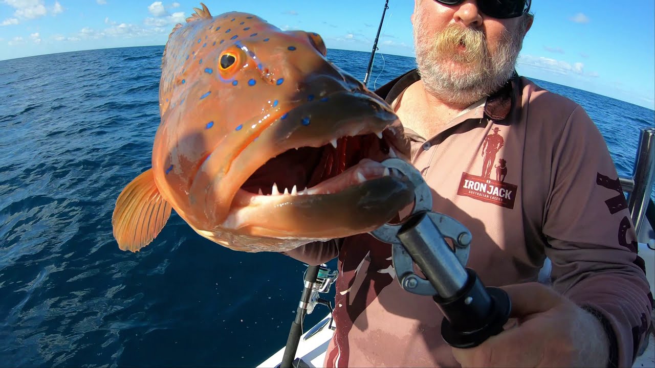 BEST WHIPLASH FISHING OF 2020 - Plus a few extras - YouTube