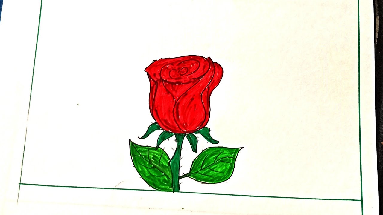 How to draw a rose drawing vedio// pencil drawing vedio step by step ...