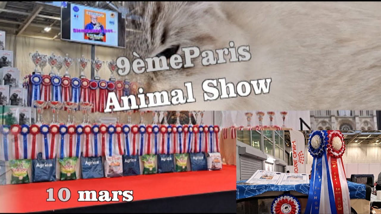 Paris Animal Show 2024 du dimanche - YouTube