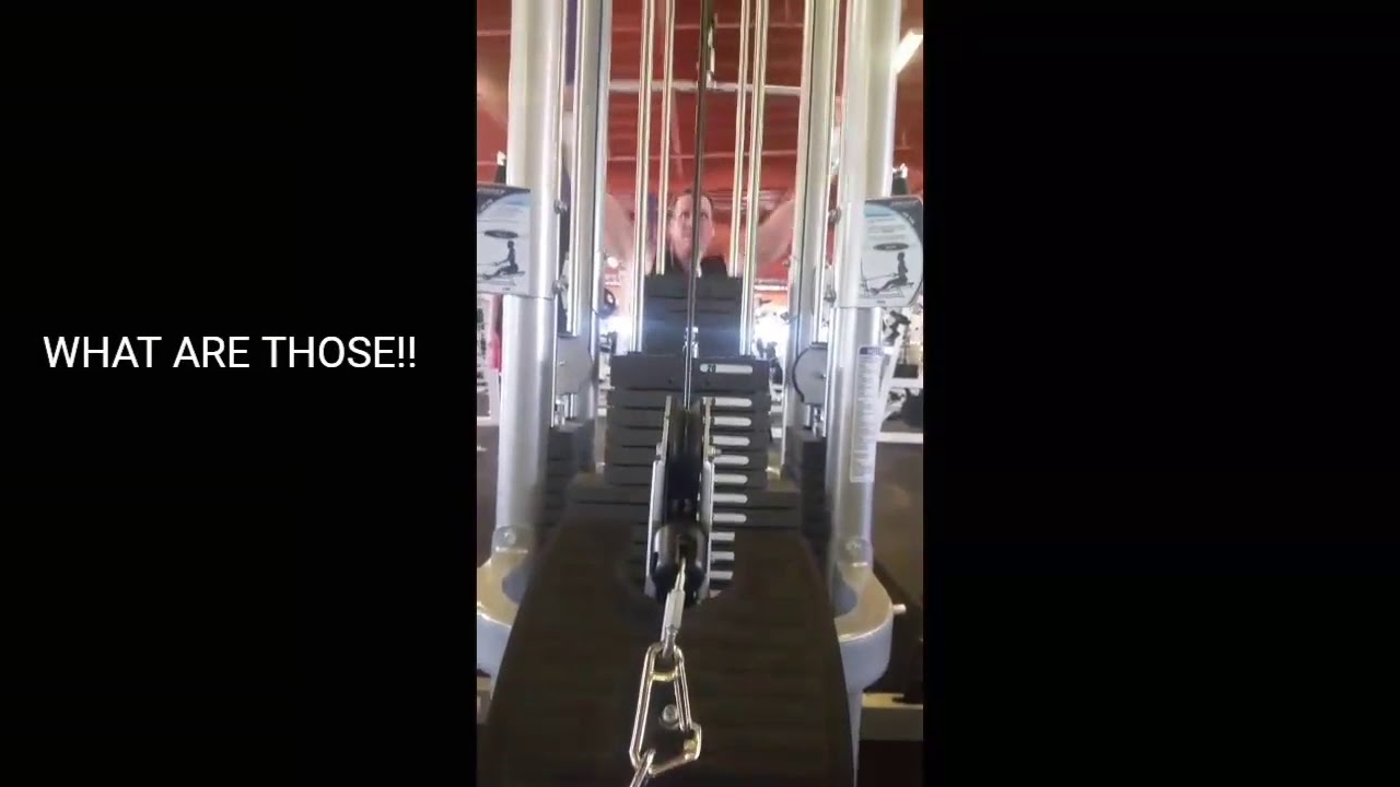 Shredded fitness by: shredded_days - YouTube