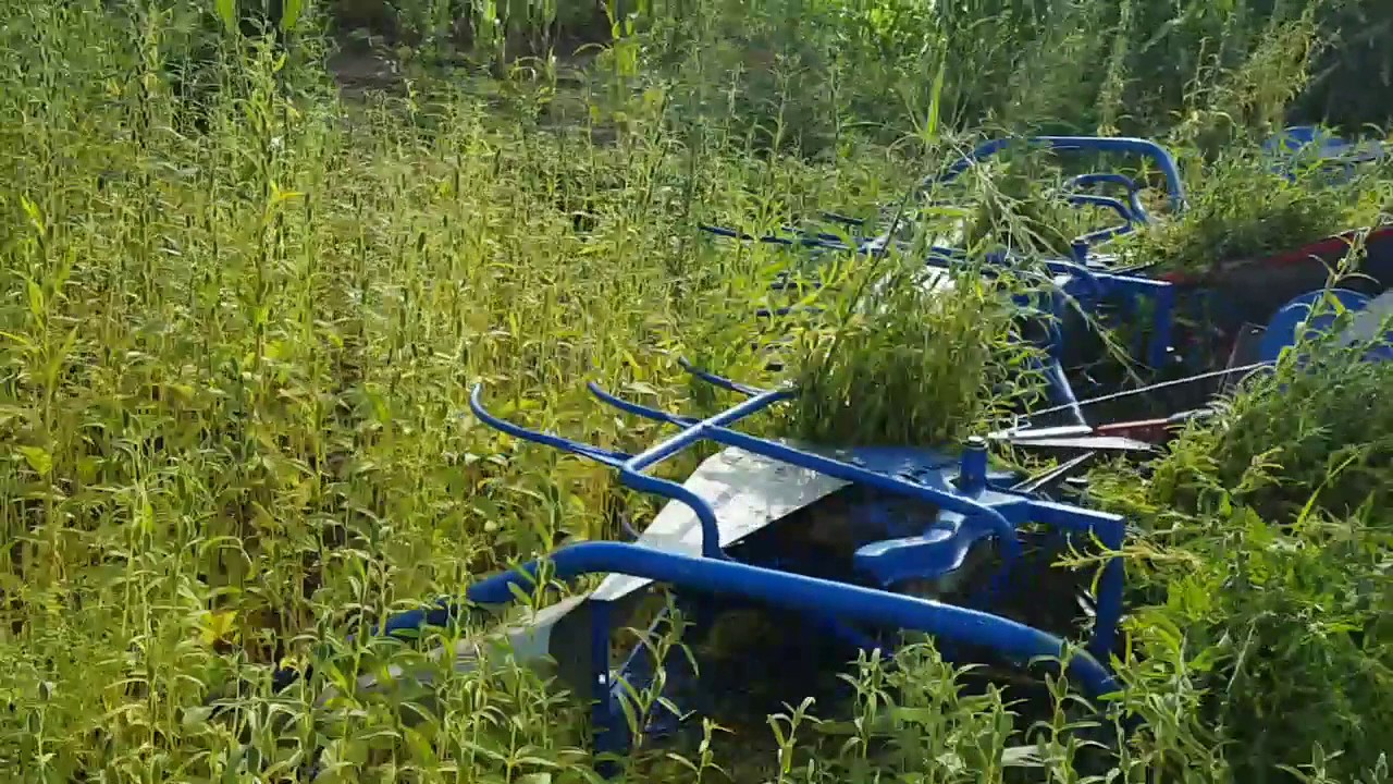 YAPEL CDG 300 REAPER BINDER SICKLE - HARVESTING MACHINE SESAME ...