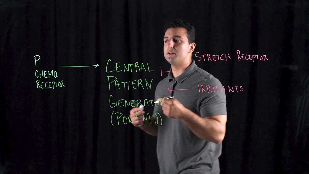 Central Pattern Generator - YouTube