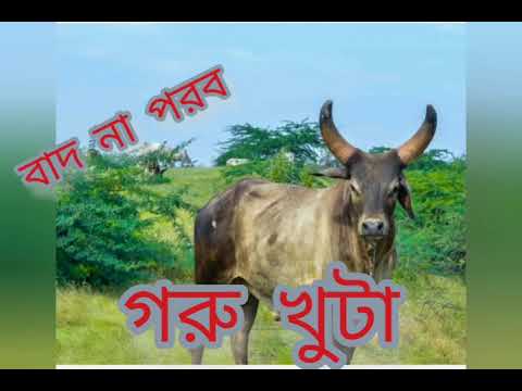 Badna parab/ garu khuta,,,,,☀️🔥🔥💟 বাদ না পরব🔥🔥গরু খুটা,,, আহিরা গীত ...