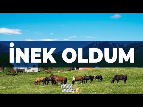BİR GÜNLÜĞÜNE İNEK OLDUM - ÇİFTLİK