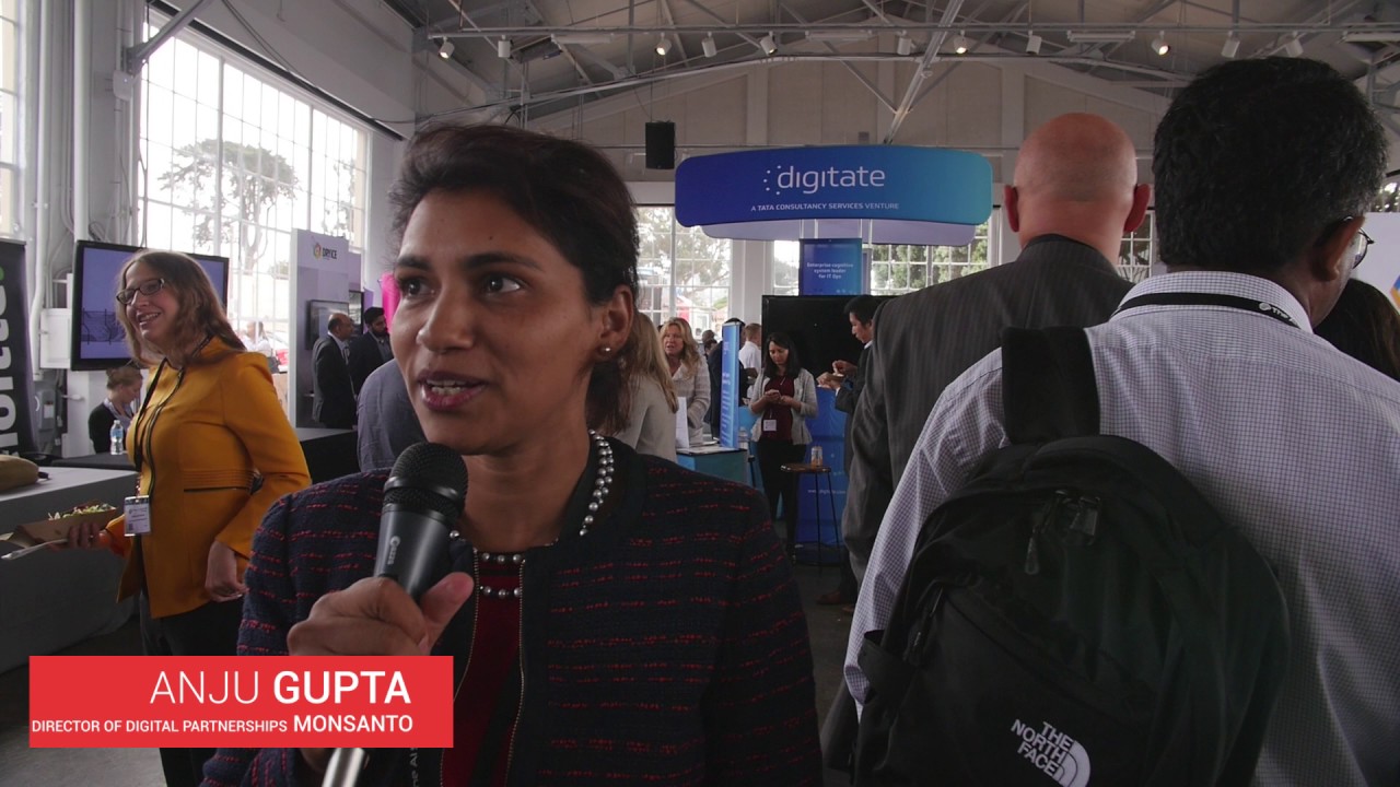 An Interview with Anju Gupta (Monsanto) at The AI Summit, San Francisco ...