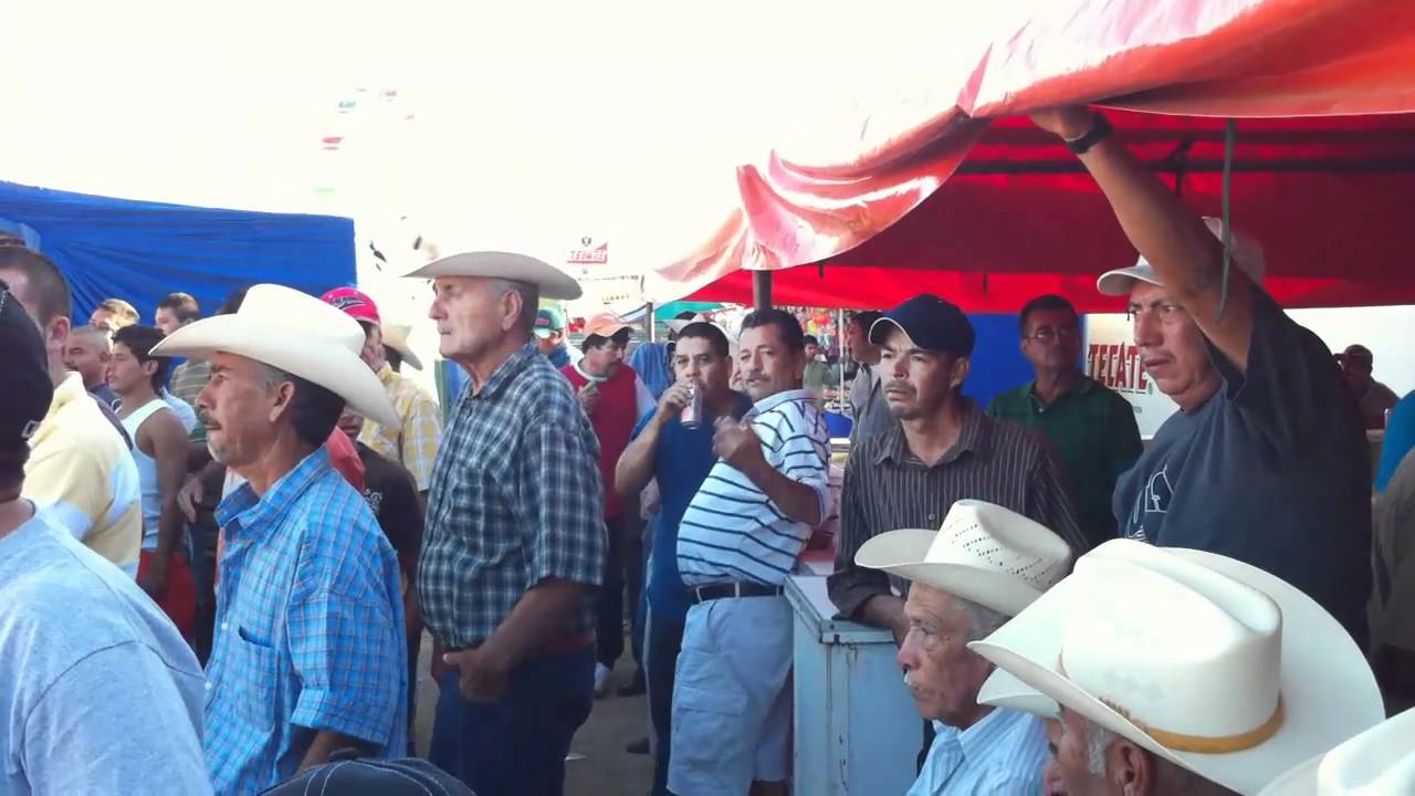 Fiestas De Cerro Agudo Mocorito Sinaloa 2010 - YouTube