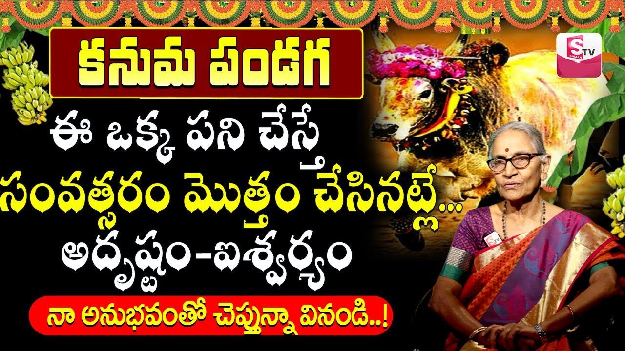 Kanuma Festival Significance 2023 | Bhogi, sankranti and kanuma ...