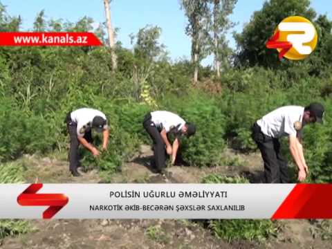 ZAQATALADA NARKOTIK BITKI VE ODLU SILAH ASKAR EDILIB