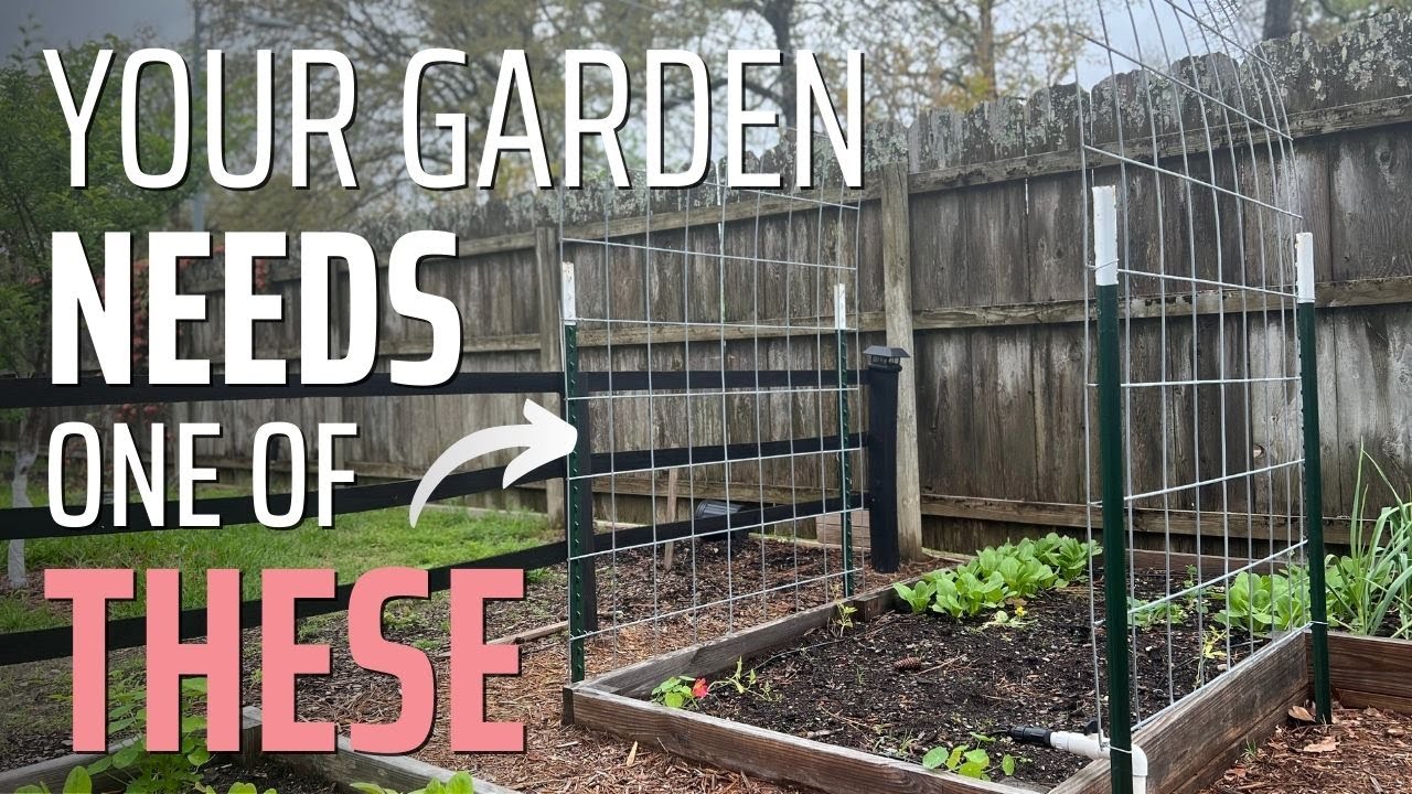 Build This Easy Cow Panel Trellis (Grow More Melons in Less Space ...