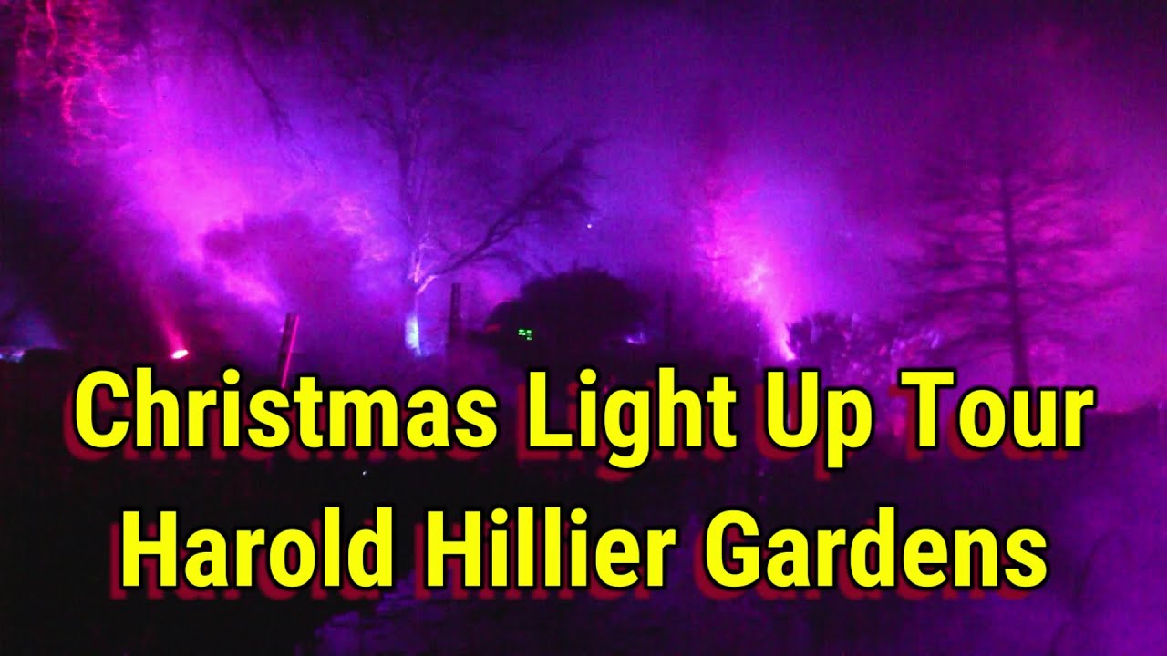 Hillier Gardens Light Up Trail, Christmas Music, Christmas Lights - YouTube