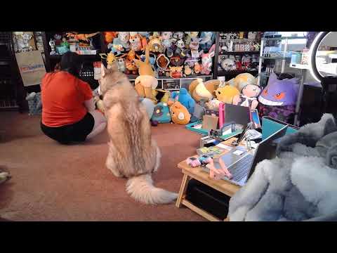 The Chronicles of Abby #99