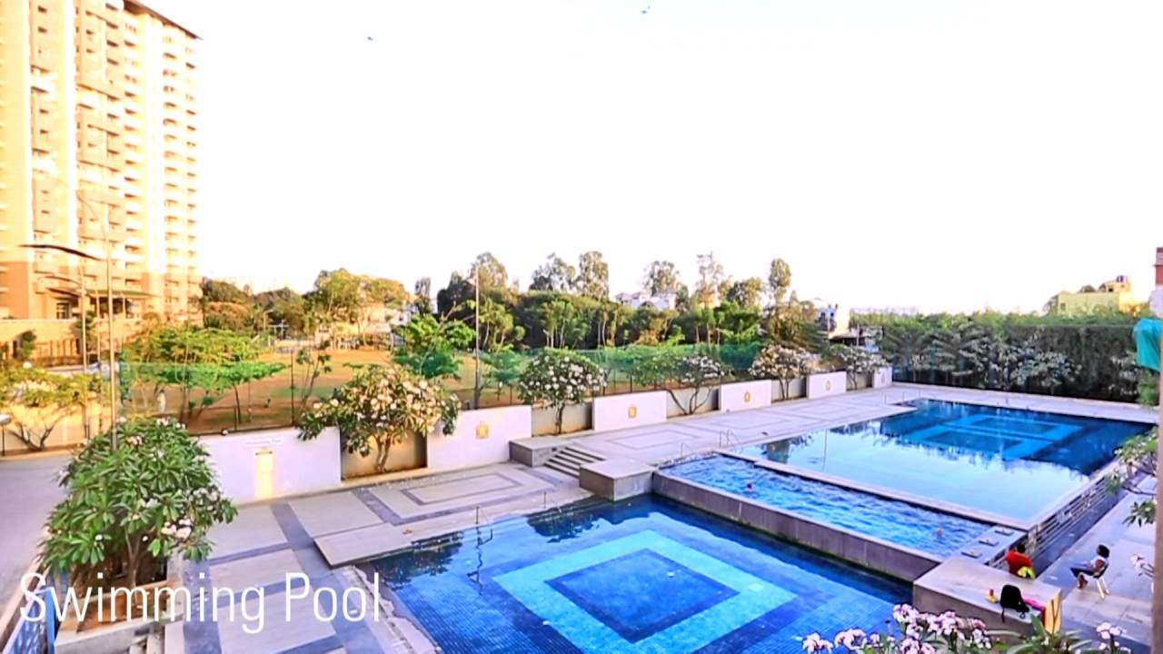 Regent Club Video - YouTube
