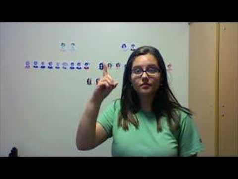 ASL Family Tree - YouTube