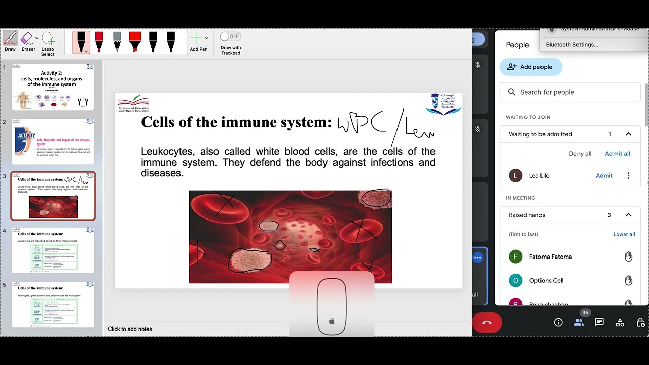 Lebanese system Grade 8 Activity 2 The cells and molecules of the ...