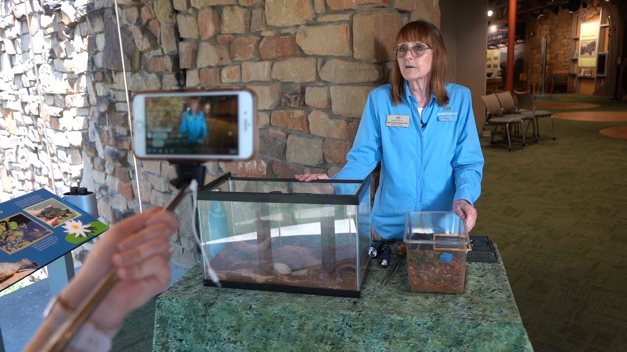 River Legacy Living Science Center Brings the Outdoors Inside While ...