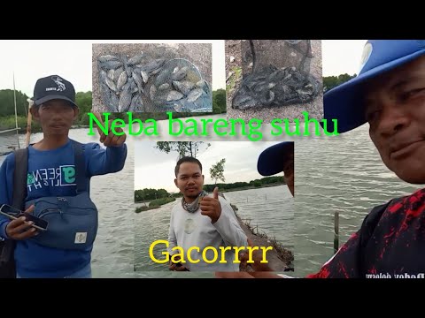 mancing diair cetek tak disangka gacorrrrr#mancingmarunda#mancingmania #mancingmujair